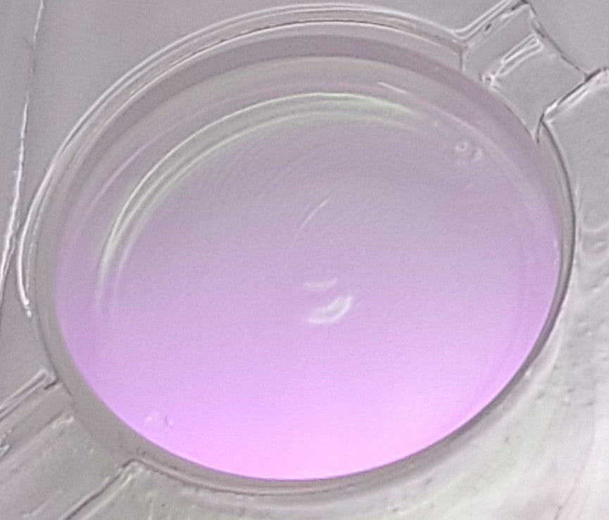 Replacement Cinogy FBP Protection Window – High-Performance FBP-PG-HP ...